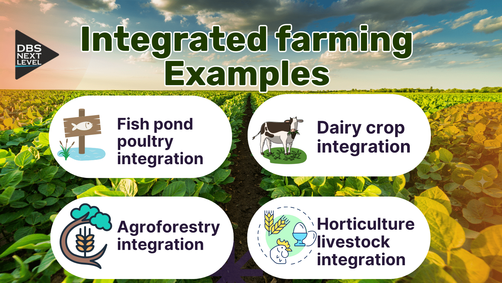 Integrated Farming Model: Advantages, Projects, Examples in India