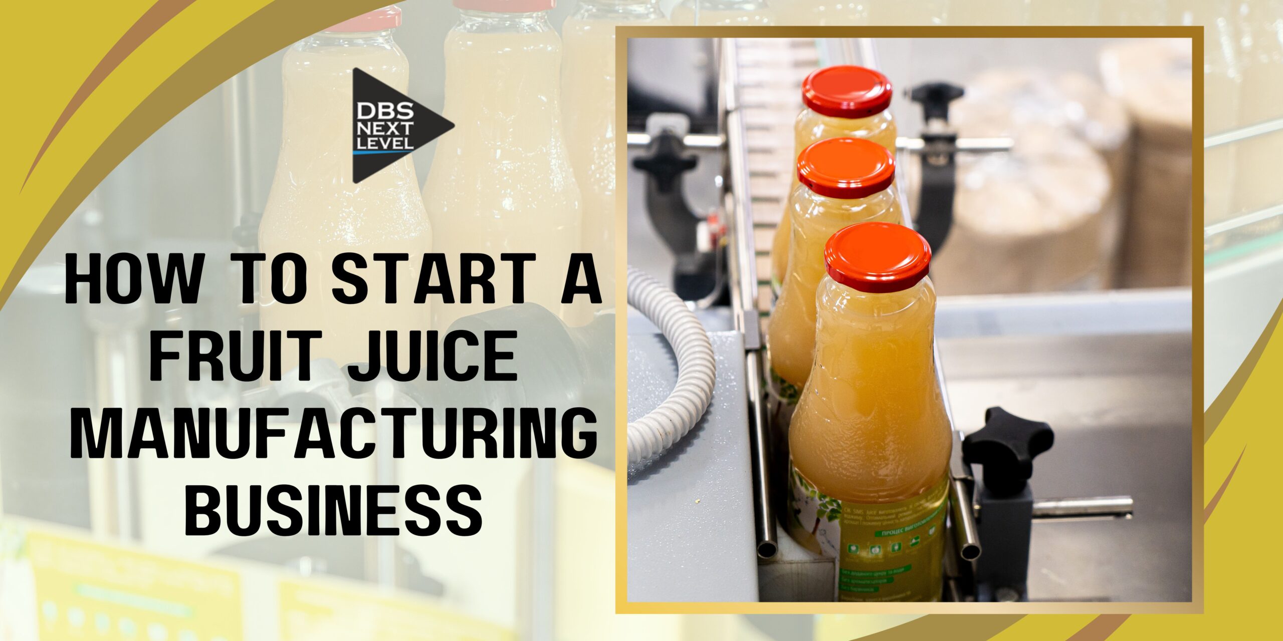 How to start a Fruit Juice Manufacturing Business